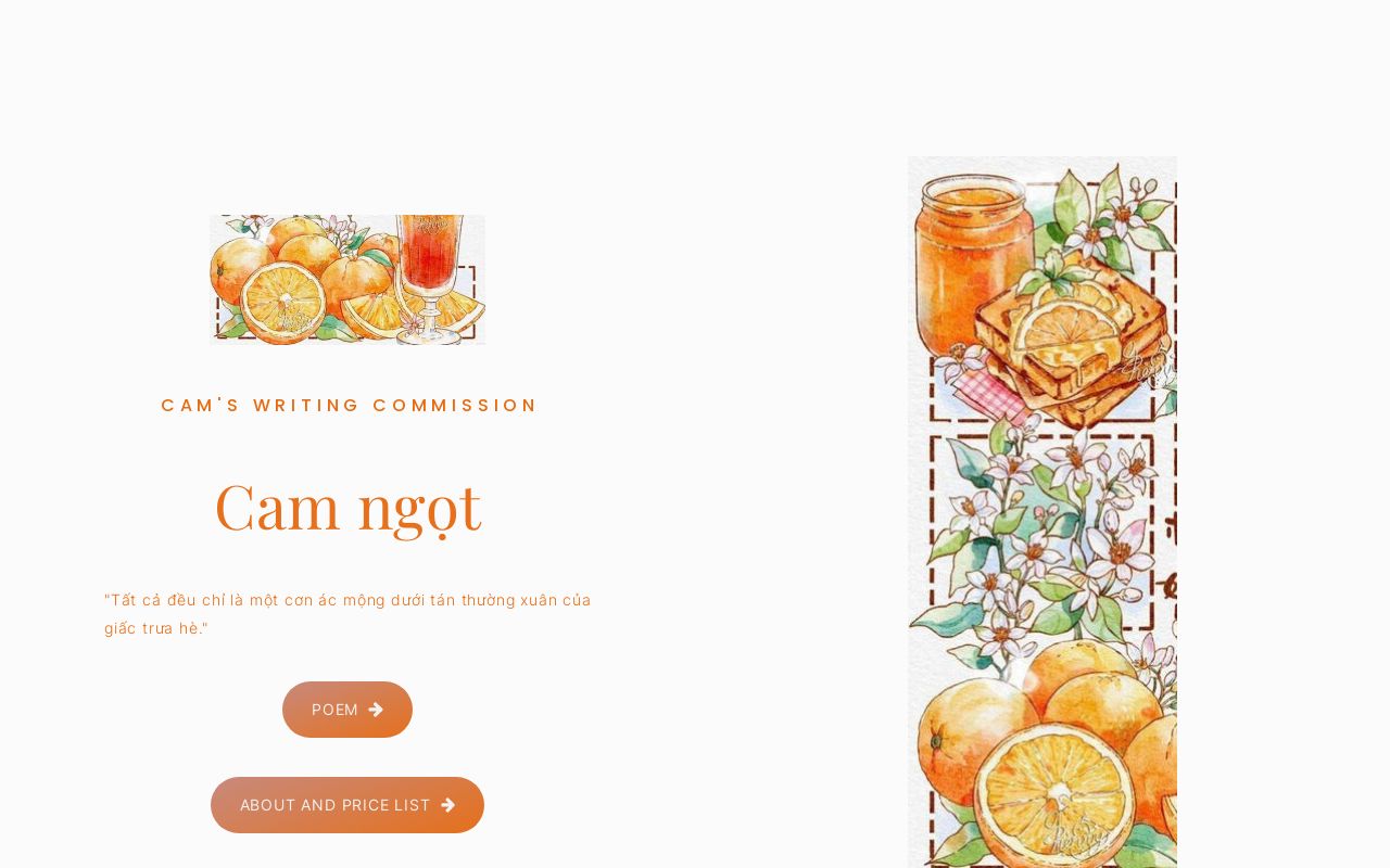 Cam's Writing Commission